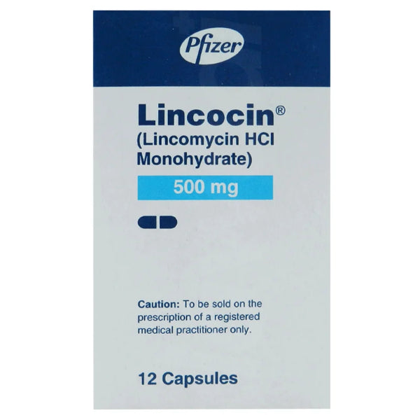 LINCOCIN 500MG CAP – Dawa Healthcare